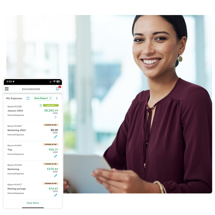 Expense Management Software: Simplify Reporting | DATABASICS